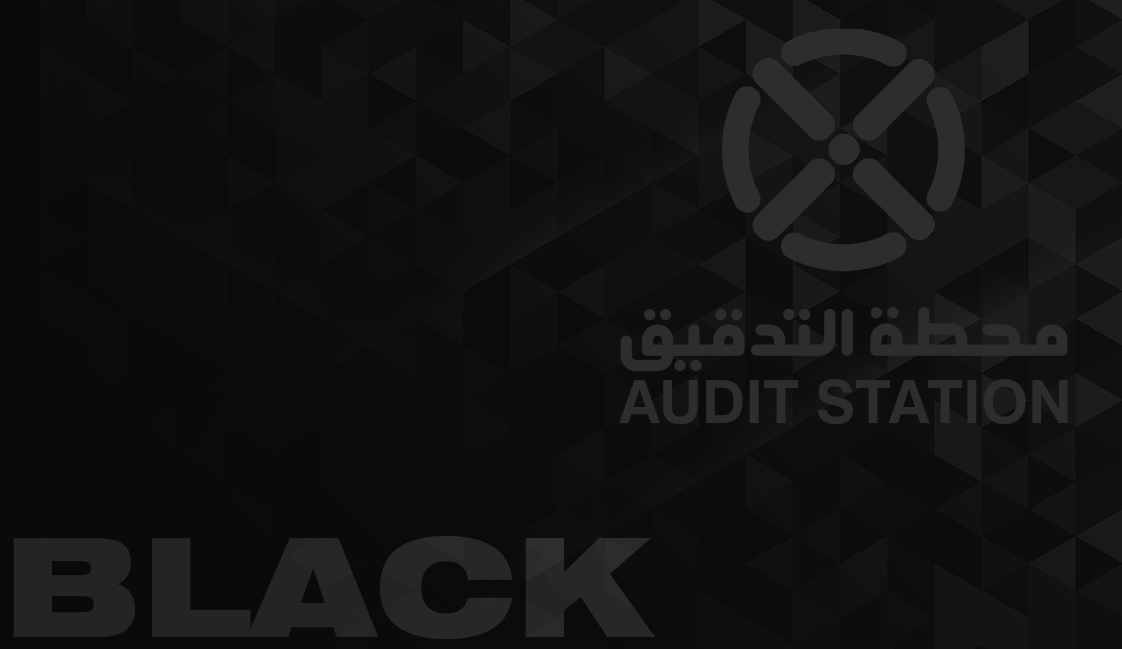 Audit Station - Accounting, Auditing & Accounting Softwares